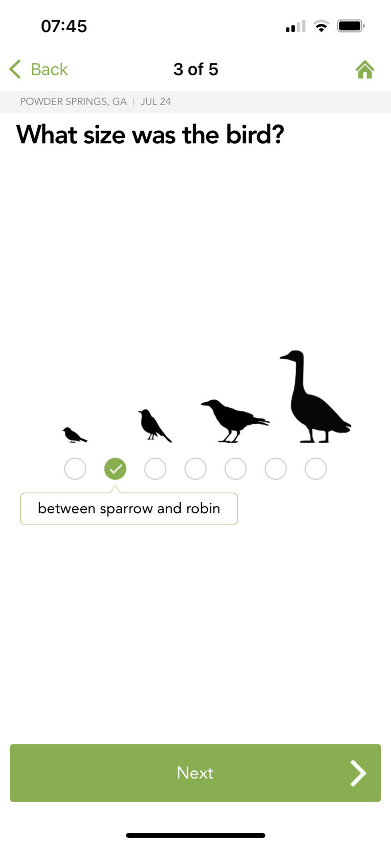 A Beginner’s Guide to Birding: Get Started with 2 Easy Steps - The Off ...