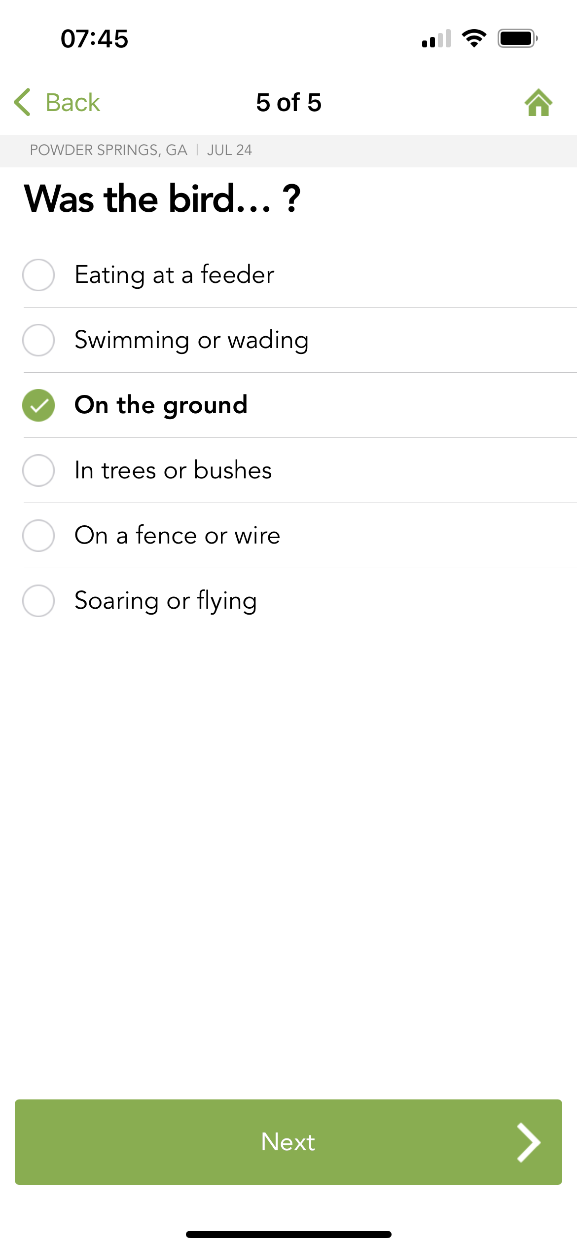 A Beginner’s Guide to Birding: Get Started with 2 Easy Steps - The Off ...
